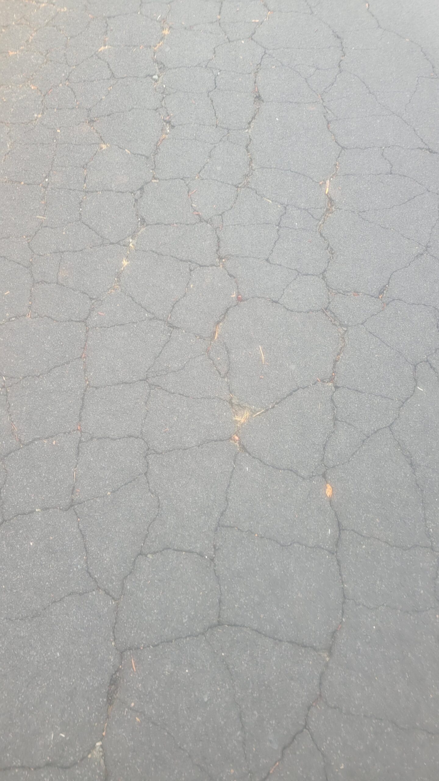 Roads and Culverts | SHOA News